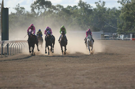 Oak Park Race Club | Country racing since 1904
