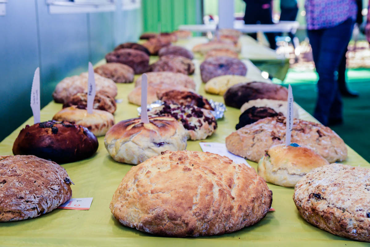 Oak Park Race Club | Country racing since 1904