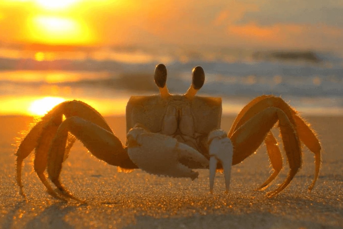 2025 Race Meet | Oak Park Race Club